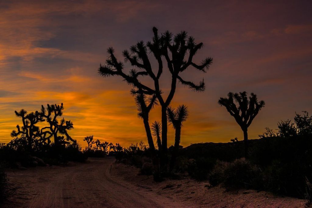 7 Tips to Improve Sunset Photography - Travel Zone by Best Western