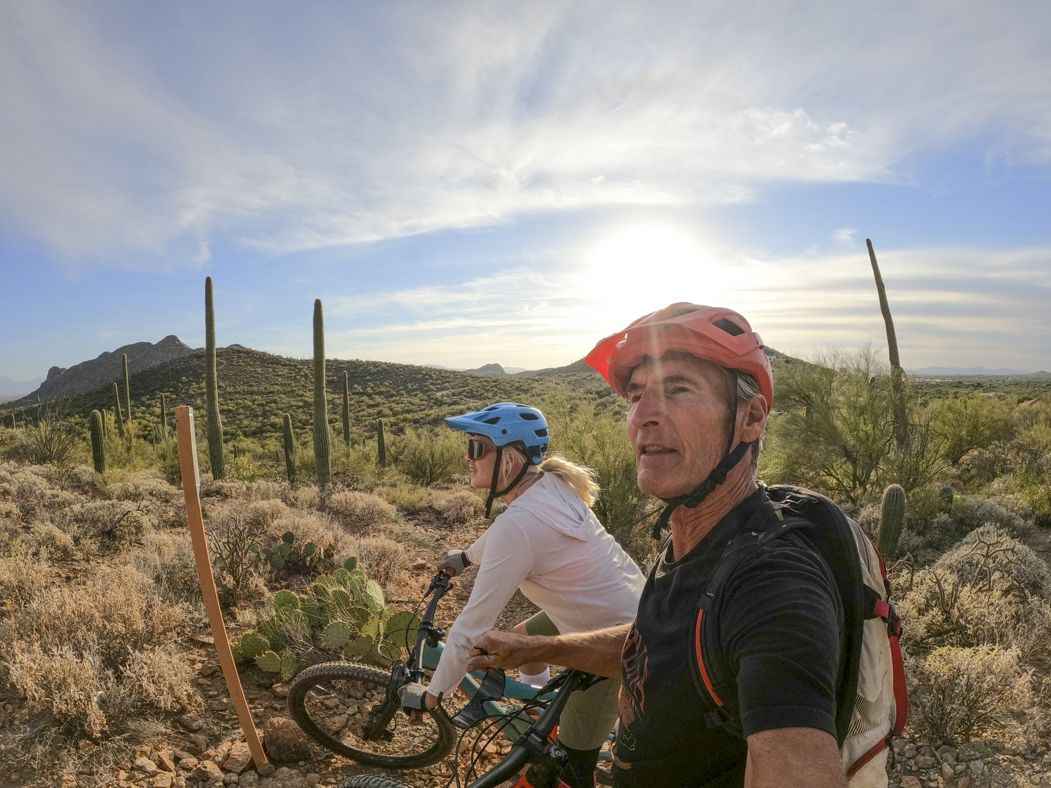 Things To Do in Phoenix, AZ - Travel Zone by Best Western