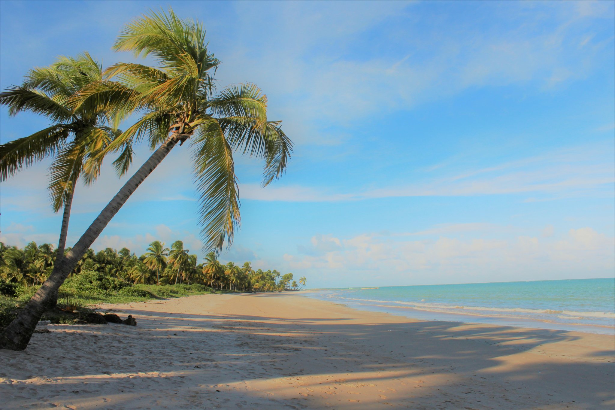 Maceió, Brasil | Top 5 de las mejores playas - Travel Zone by Best Western