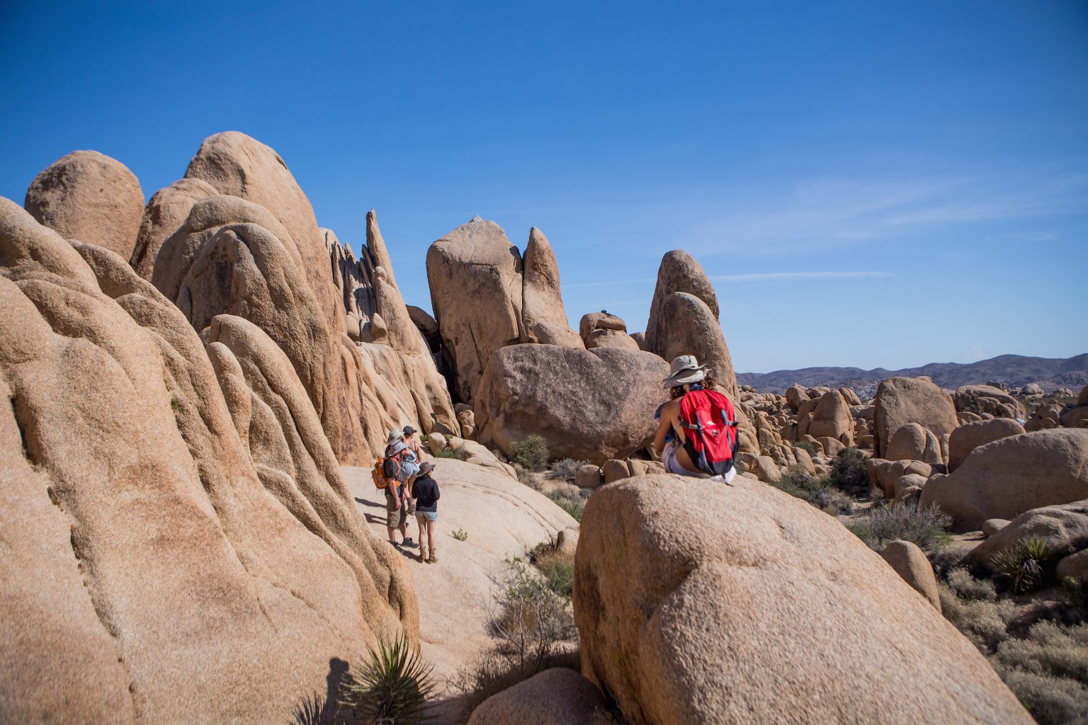 Spring Break Guide to Joshua Tree National Park - Travel Zone by Best ...
