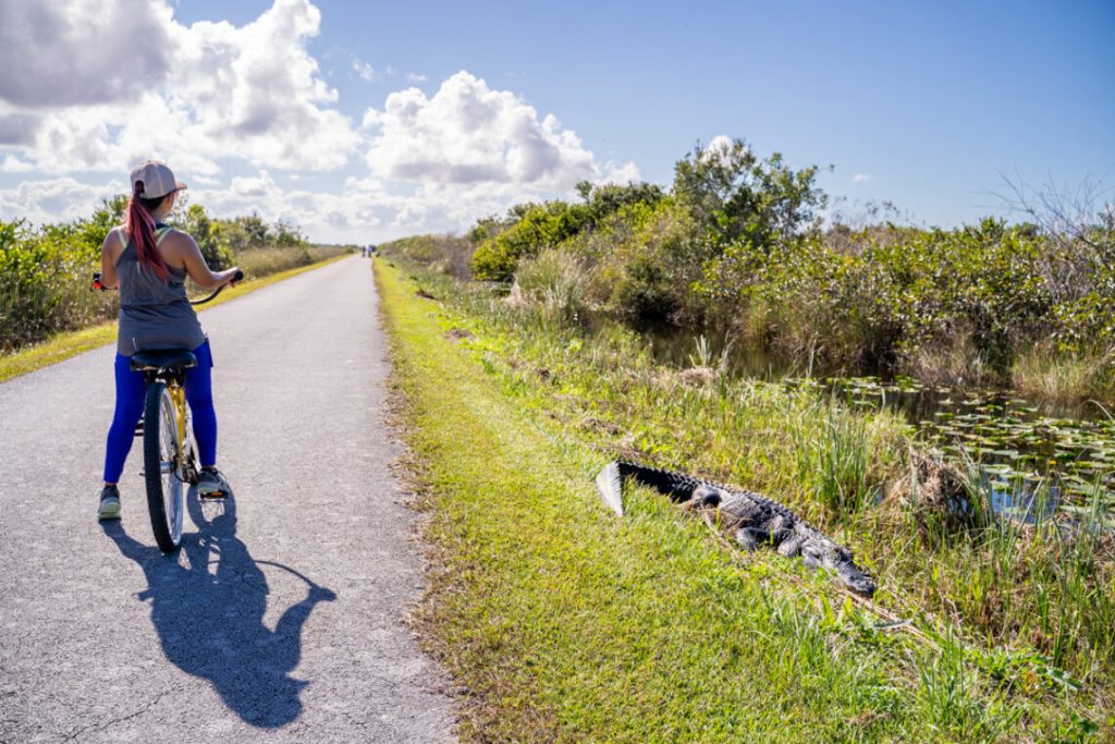 Pedal Through North America's Most Scenic Bike Trails Leisure Travel ...