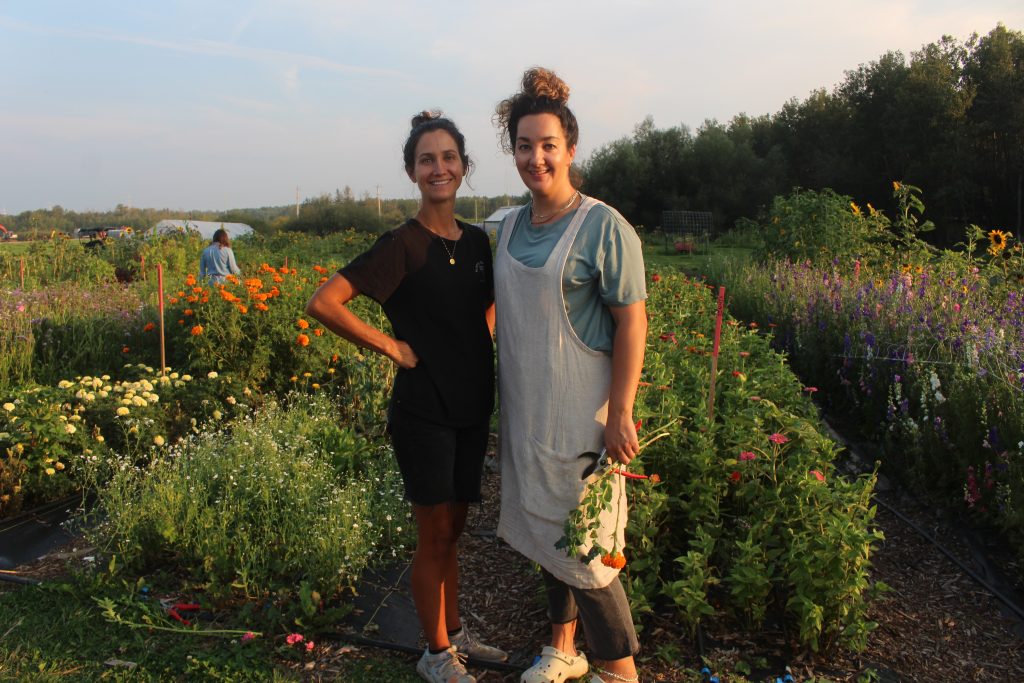 Love Plants? A Green Thumb’s Guide of Things To Do in Edmonton, Alberta ...