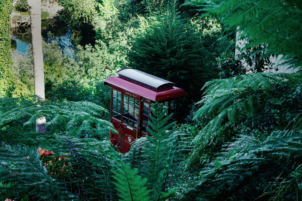 An Interview with Ted Burke of Shadowbrook Restaurant in Capitola ...