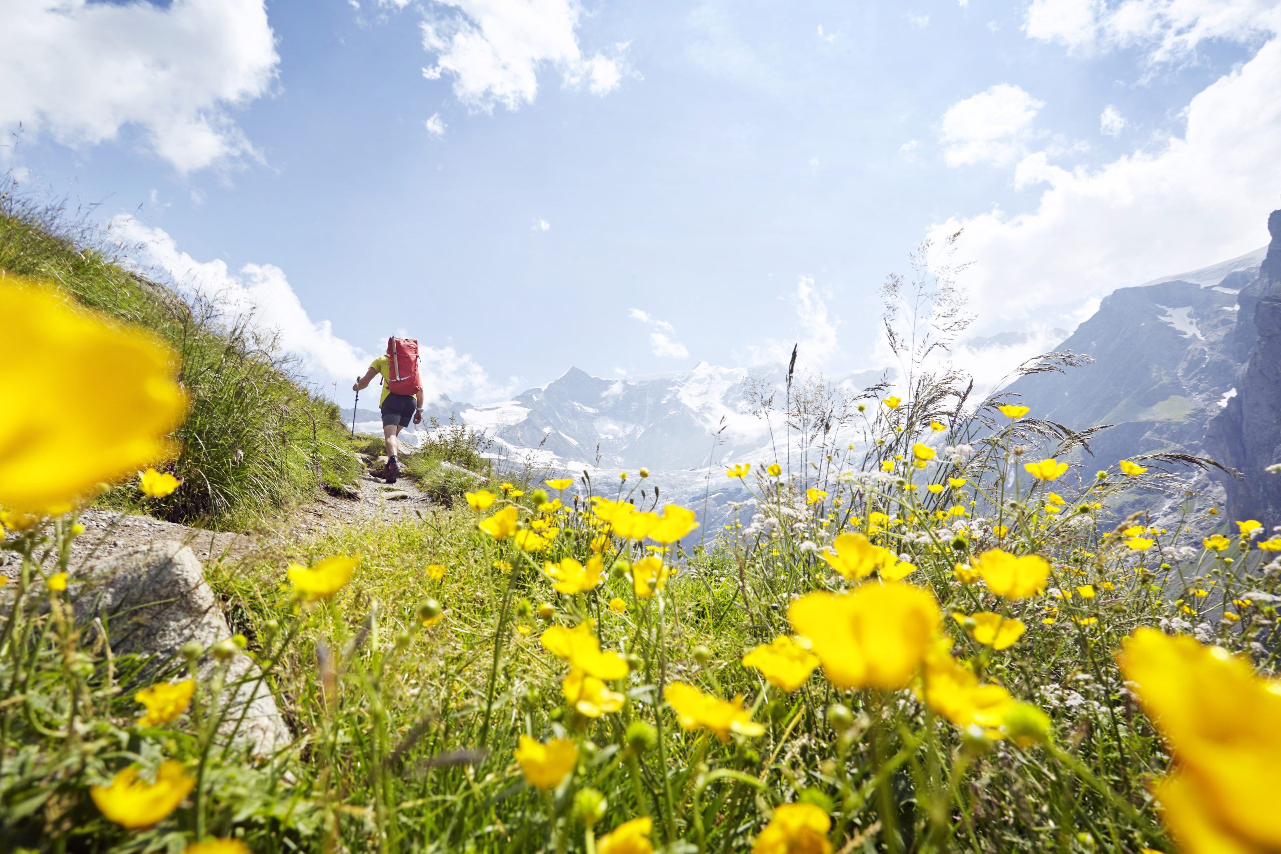 Spring Holiday Escapes - Travel Zone by Best Western