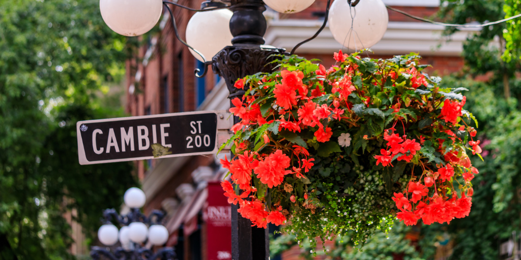 Urban Adventures: Discover the Top 10 Coolest Streets in the World ...